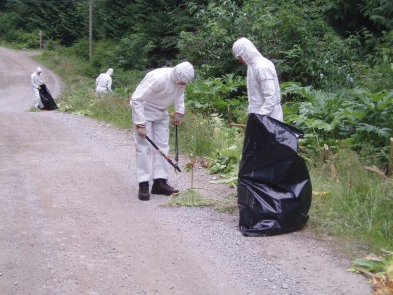 The Narrative Trap – Ecosophia